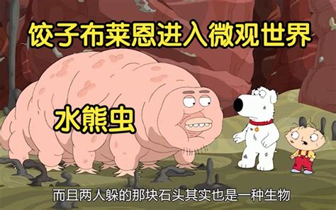 饺子布莱恩进入微观世界 动漫大派送 动漫大派送 哔哩哔哩视频
