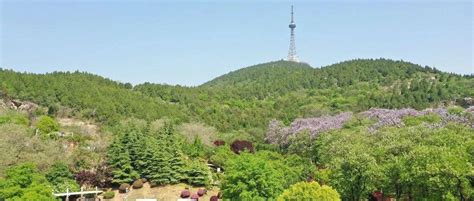 县区动态丨相南城管整治校园周边秩序 黎苑