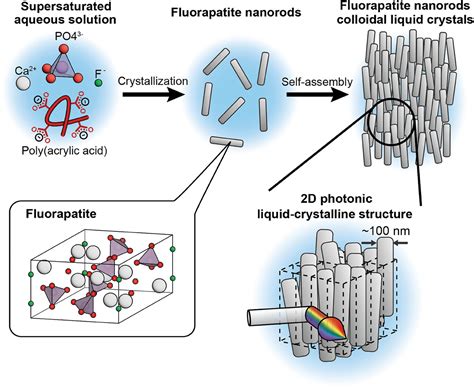 2d Photonic Colloidal Liquid Crystals Composed Of Self‐assembled Rod‐shaped Particles Kato