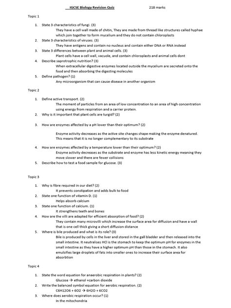 Igcse Year 11 Revision Quiz Pdf Leaf Artery