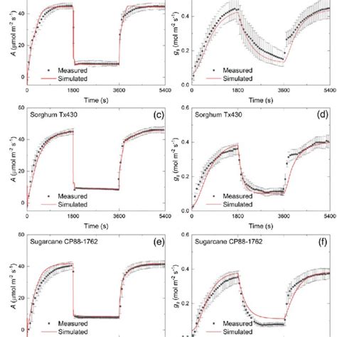 Simulated Dynamic A C E Photosynthesis A And B D F Stomatal