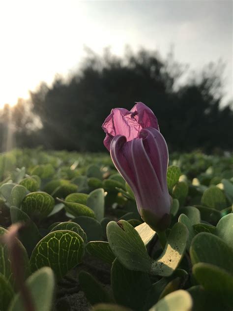 A Vasantha Kumar 摄影