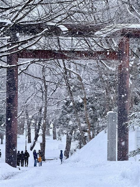 삿포로의 도리이 게이트가 있는 눈 덮인 풍경 · 무료 스톡 사진