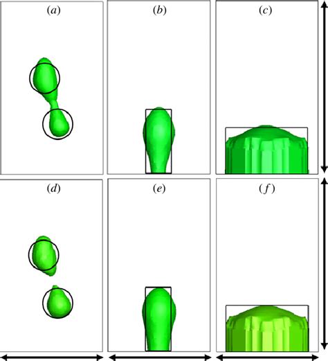 Renderings Of The 3d Isosurface Obtained From Simulations Of Images Download Scientific Diagram