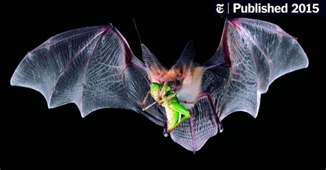 Intrastat Reporting In Sap Sdrqcr21