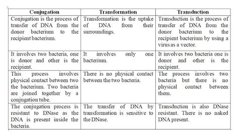 [solved] Compare And Contrast Transformation Transduction And Conjugation Course Hero
