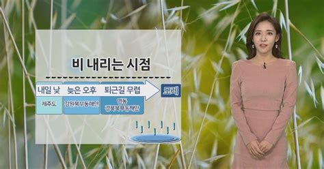 날씨 내일 동해안 비강원 산지 최고 30cm 폭설