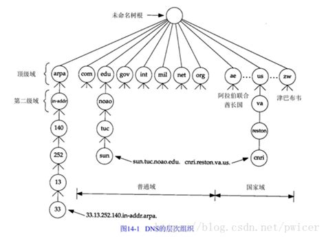 【tcp ip】dns csdn博客
