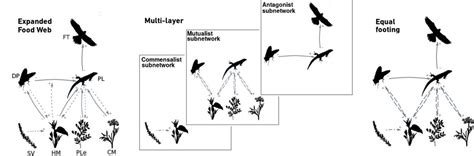 On Why And How To Incorporate Multiple Interaction Types Into Network