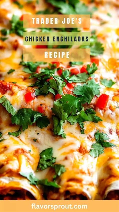 Trader Joes Chicken Enchiladas Recipe Flavor Sprout All For One