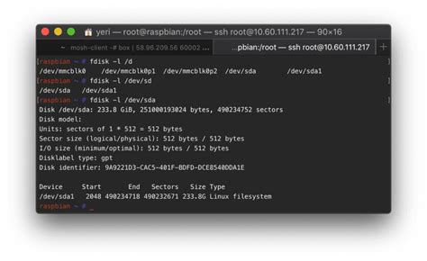 Raspberry Pi 4 SSD Yeri Tiete