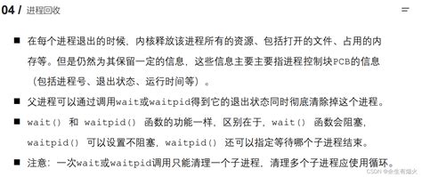 进程回收wait Csdn博客