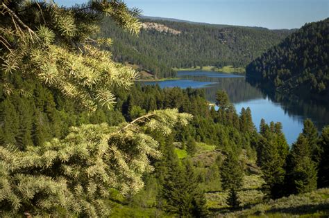 Scenic Lake View In Beaverhead Deerlodge National Forest Image Free