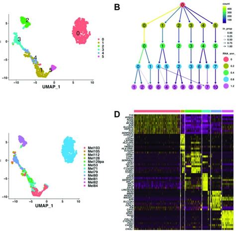 Melanoma Patients Exhibited Different Genetic Profiles On The Scrna Download Scientific Diagram