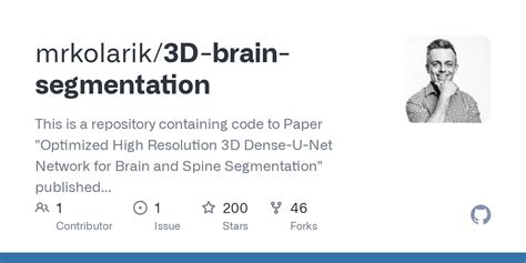 Github Mrkolarik3d Brain Segmentation This Is A Repository