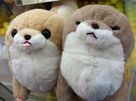 タイトーfステーション御坊 On Twitter 【景品入荷情報】 くったりカワウソの赤ちゃん2ウルトラbig 入荷いたしました