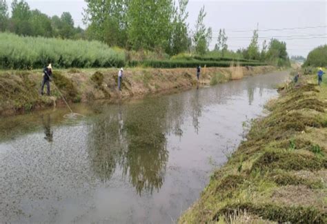 句容市下蜀镇裕课村清理河道水草营造良好水生态 新华网