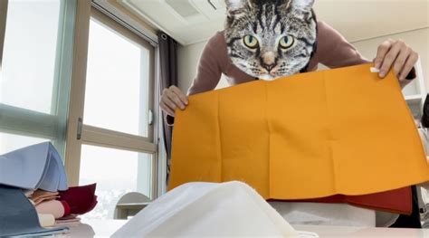 퍼스널컬러 진단 후기 가을뮤트 소프트 봄 브라이트 네이버 블로그