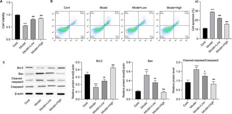 Ginseng And Polygonum Multiflorum Formula Protects Brain Function In Alzheimers Disease