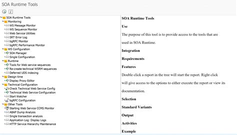 Basic Activation Of Webservice Soap Runtime