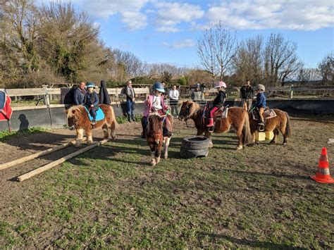 Cours Sunny Ranch Léquitation Au Naturel