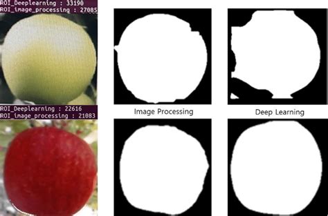 Checking Before Correction According To The Processing Method Download Scientific Diagram