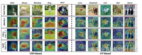 文献笔记 【iccv 2021】causal Attention For Unbiased Visual Recognition 知乎