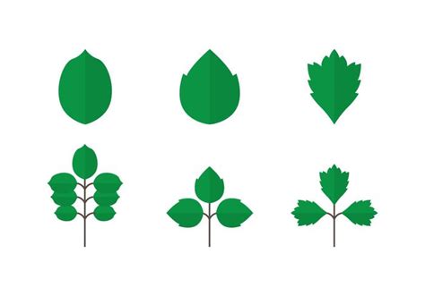 Poison Ivy Icons 156141 Vector Art At Vecteezy