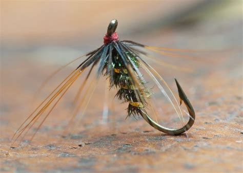Basic Method Of Hackling A Soft Hackle Fly Artofit