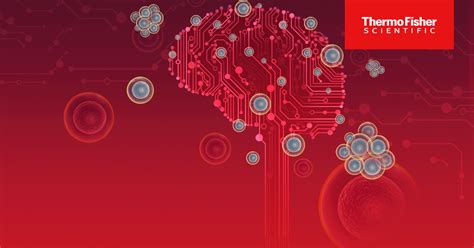 Learn About Single Cell Counting For Rna Sequencing Marcin Kouri