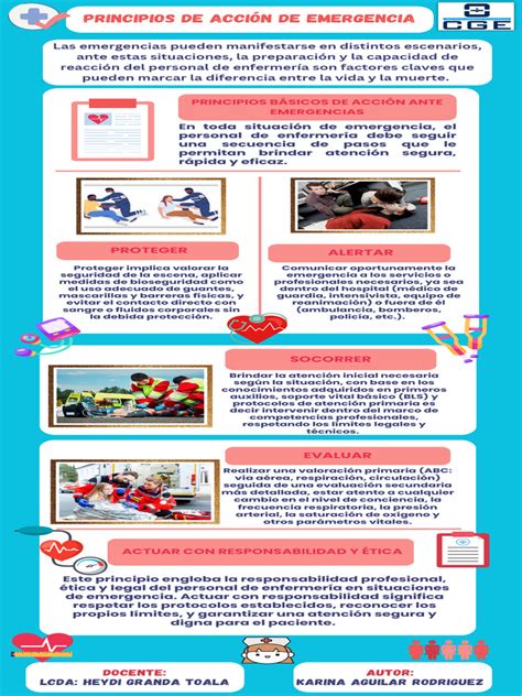 Principios De Acción En Emergencias Médicas Pdf Reanimación