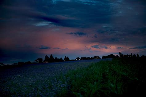 마을 위에 황혼 라벤더 꽃 분홍색 일몰필드 자연의 아름다움의 개념 일몰과 새로운 날의 회의 자연 현상의 숙고 조난 신호탄에 대한 스톡 사진 및 기타 이미지 Istock