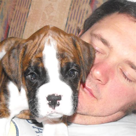 David Sumner Youtube