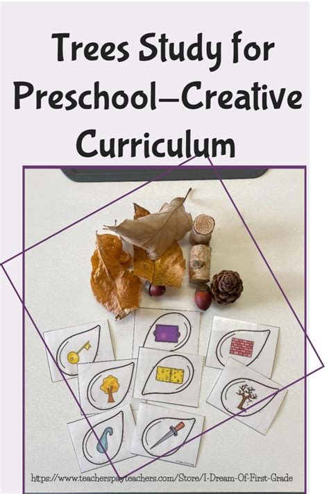 Trees Study For Prebabe Bundle Creative Curriculum Tree Study Prebabe