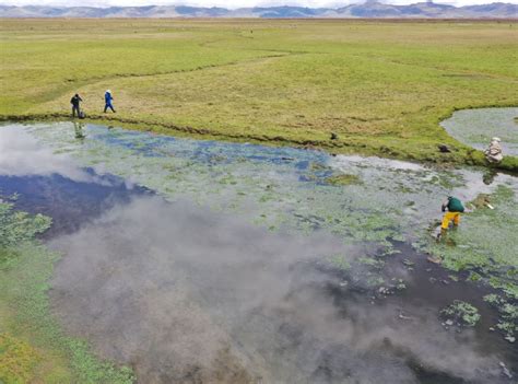 Junín Comuneros Limpian El Lago Chinchaycocha Y Recogen 3 Toneladas De