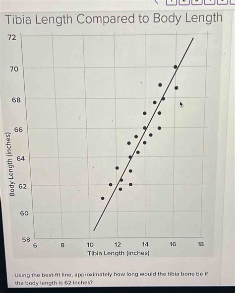 Tibia Length Compared To Body Length 7 7 Tibia Length Inches Using