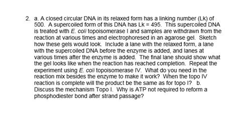 Solved 2 A A Closed Circular Dna In Its Relaxed Form Has A