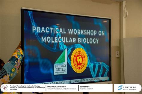 🔬 Exploring The World Of Molecular Biology Biology Guild