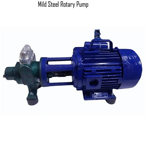 Single Phase Rotary Pump At ₹ 24000 Piece Rotary Pumps In Chittorgarh