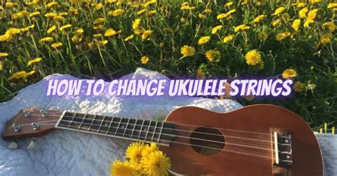 How To Change Ukulele Strings All For Turntables