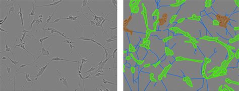 Neural Data Science Group University Of Goettingen