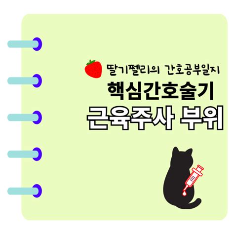 핵심간호술기 근육주사 부위 둔부 복면 배면 삼각근 외측광근 네이버 블로그
