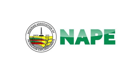 Why Nape At 50 Must Lead The Next Energy Revolution The Nation Newspaper