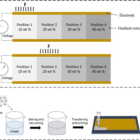 A Touch Position Detection Principle Of The Functional Gradient Download Scientific Diagram