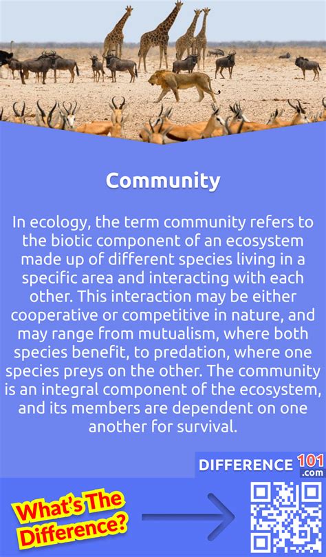 Ecosystem Vs Community 5 Key Differences Pros And Cons Similarities