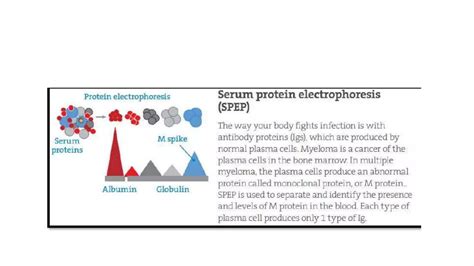 Multiple Myeloma Ppt 1 Pdf