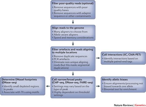 General Analysis Pipeline For Sequence Tag Experimentsdifferent Download Scientific Diagram