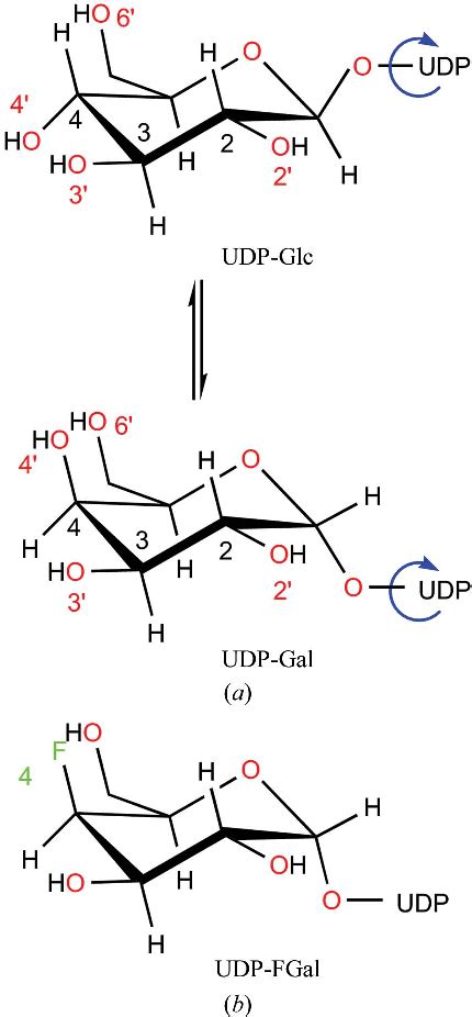 Figure 1 From Protein Structure Communications Structural Biology And Crystallization