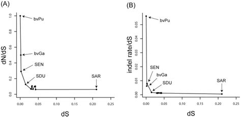 A Association Between Dnds Y Axis And Ds X Axis Ds Represents