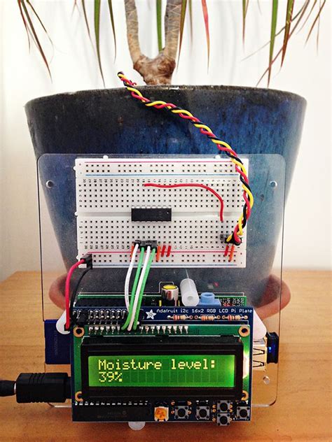 Build A Raspberry Pi Moisture Sensor For Plant Monitoring
